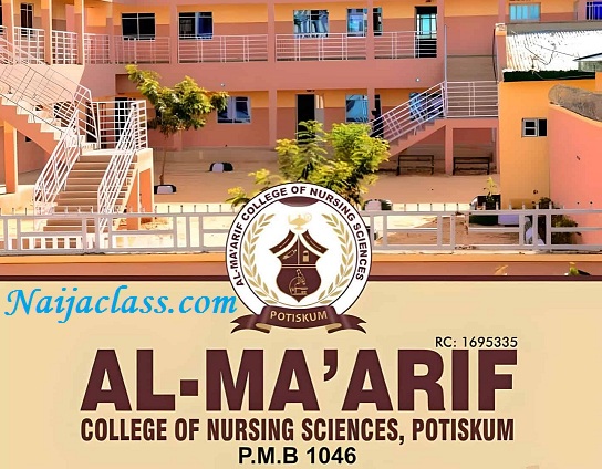 Al ma'arif College of Nursing 2024 ND/HND Nursing Admission Al ma'arif College of Nursing 2024 ND/HND Nursing Admission
